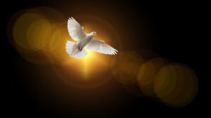 The Dove is a significant symbol in biblical narratives, with roots in ...